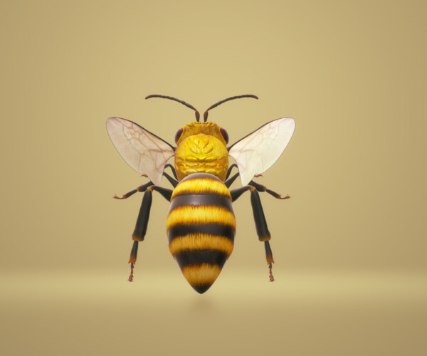 ArtStation - 3D Bee Model | Resources