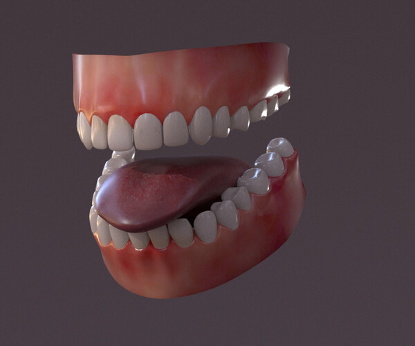 ArtStation - Female Base rig | Game Assets