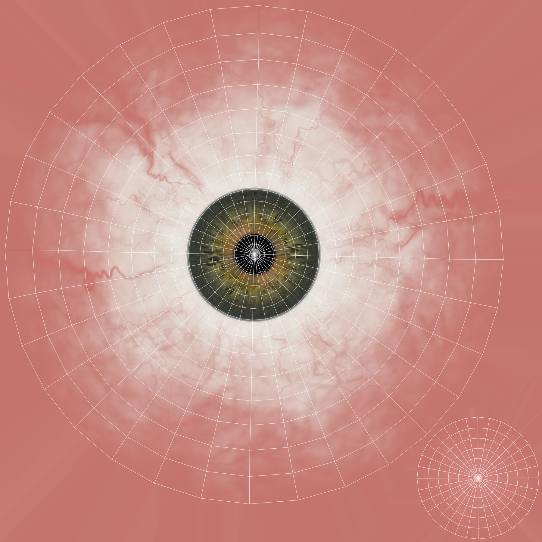 ArtStation - Female Base rig | Game Assets