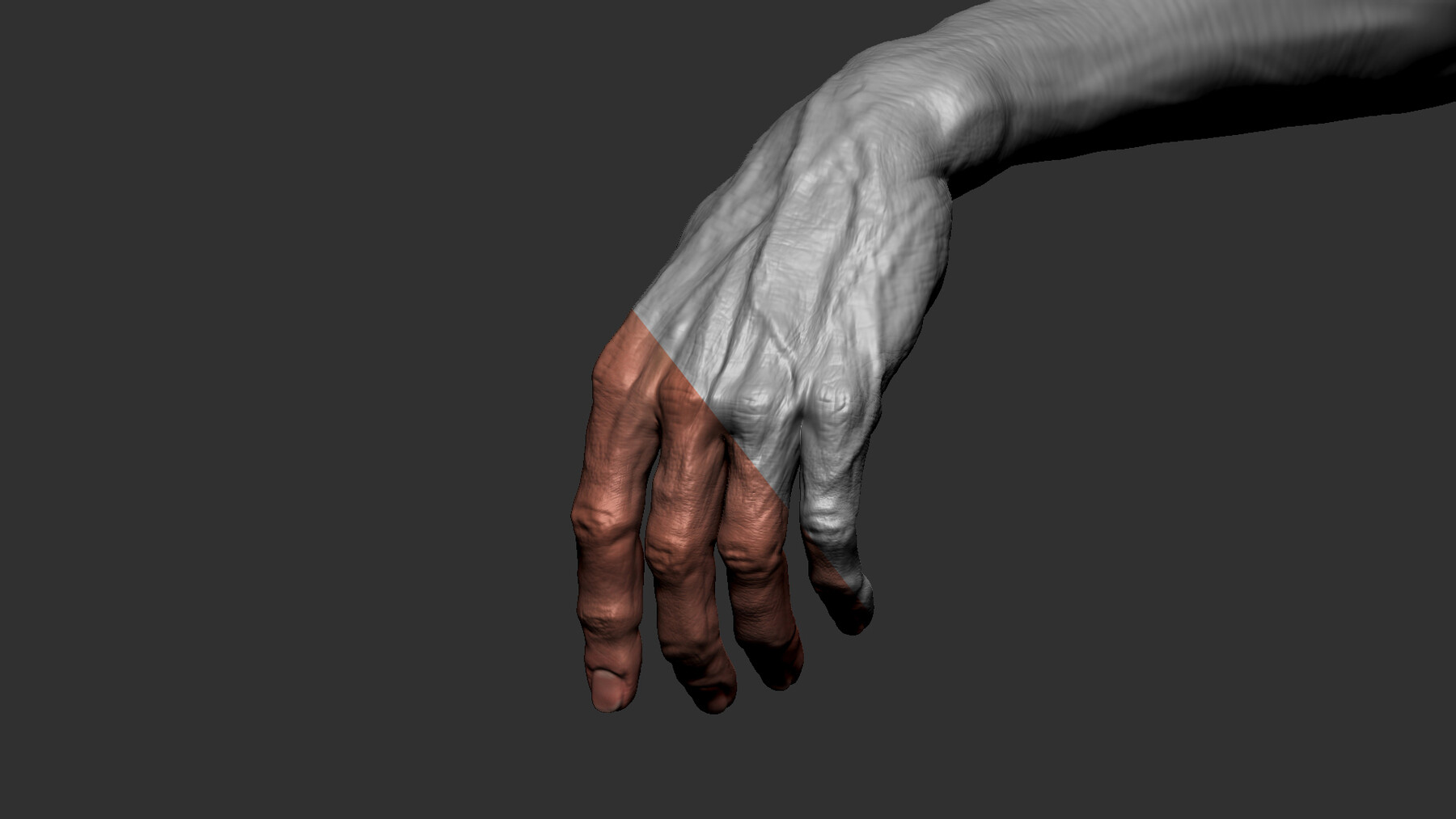 ArtStation - Free Hand | Resources