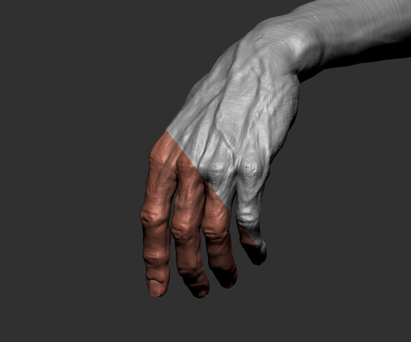 ArtStation - Free Hand | Resources