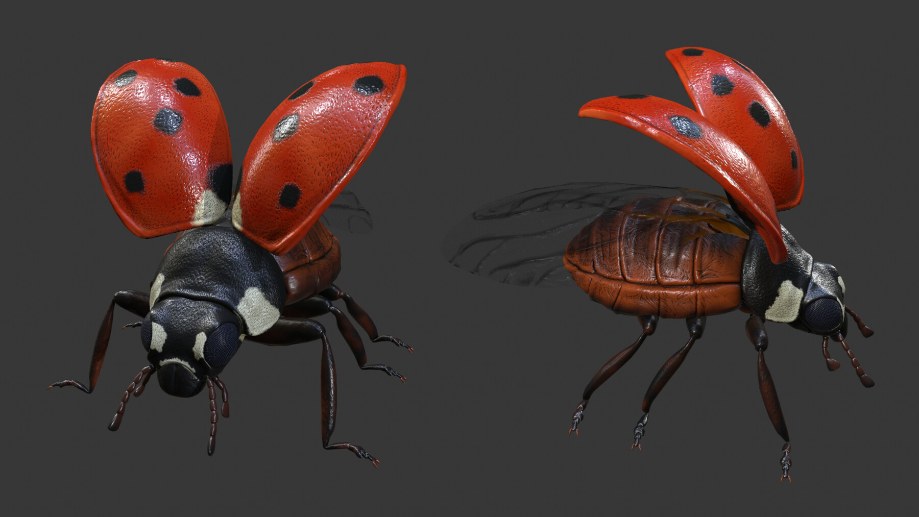 ArtStation - Realistic Ladybug Insect - 8K textures resolution | Game ...