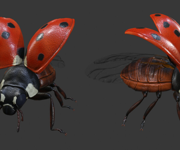 ArtStation - Realistic Ladybug Insect - 8K textures resolution | Game ...
