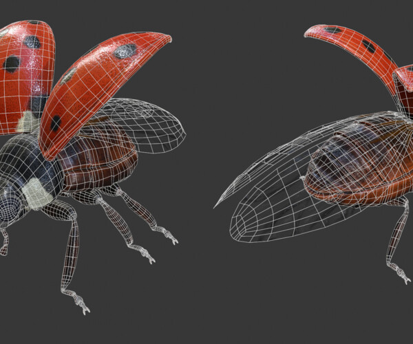 ArtStation - Realistic Ladybug Insect - 8K textures resolution | Game ...
