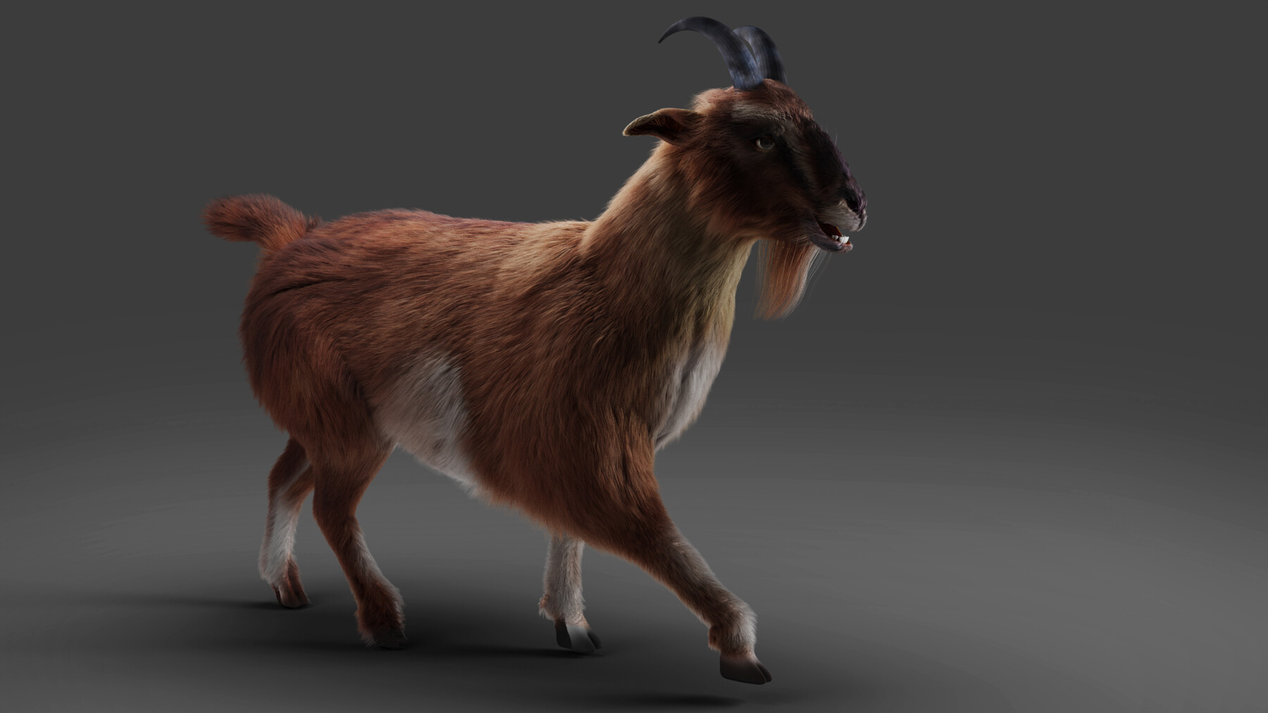 ArtStation - Fur Goat 04 Rigged and Animation in Blender | Game Assets