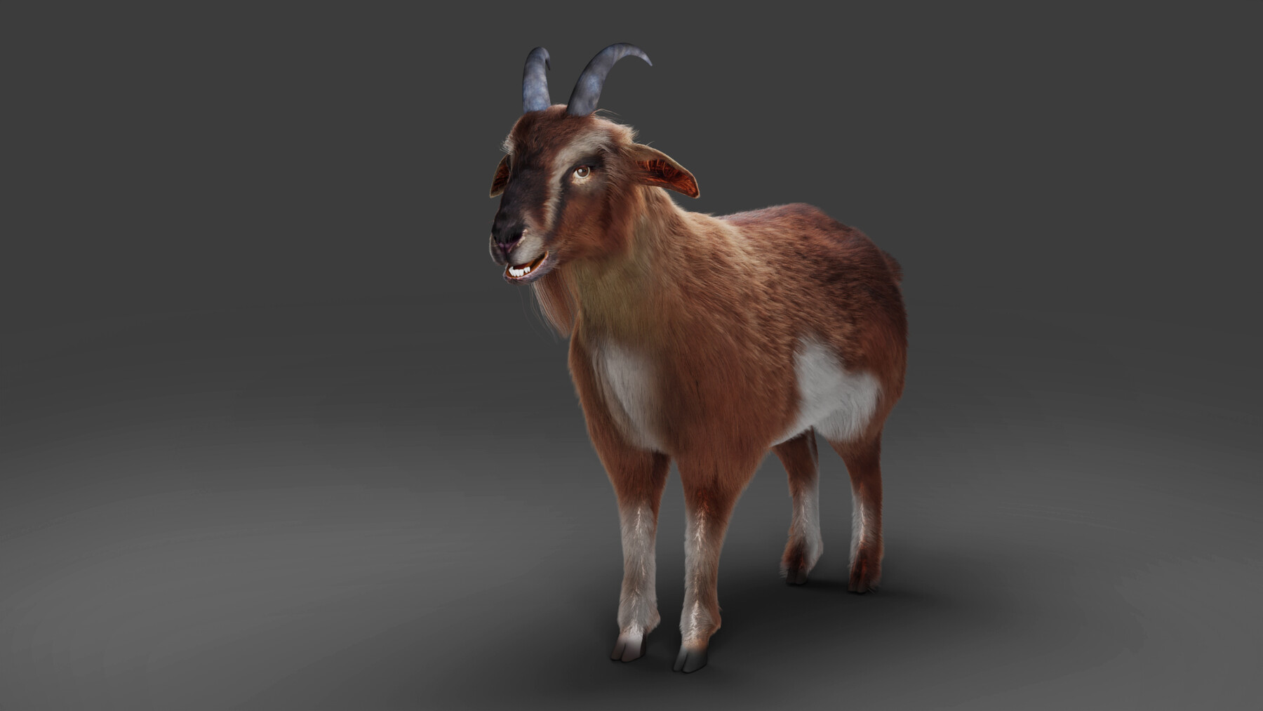ArtStation - Fur Goat 04 Rigged and Animation in Blender | Game Assets
