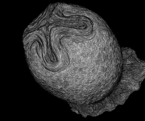 ArtStation - 3D PRINTABLE ALIEN EGG OVOMORPH 1979 WITH BASE | Resources