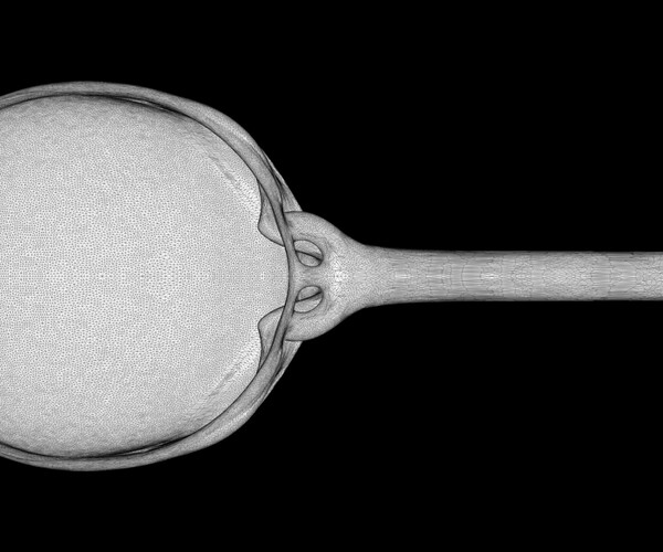 ArtStation - 3D PRINTABLE LIAR MASK - AKA SLIPKNOT BASE MASK IOWA LIAR ...