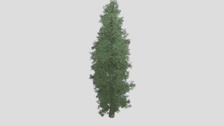 ArtStation - Eastern Red Cedar #05 (FBX) - High Poly Tree (3D Model ...