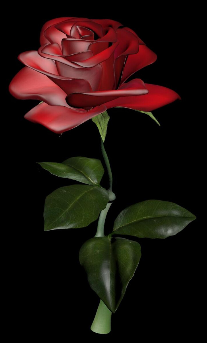 ArtStation - Rose | Game Assets