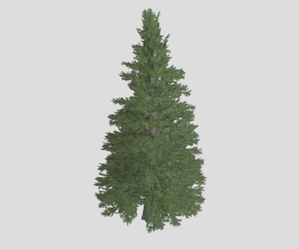 ArtStation - Norway Spruce #06 (FBX) - High Poly Tree (3D Model ...