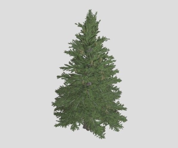 ArtStation - Norway Spruce #07 (FBX) - High Poly Tree (3D Model ...