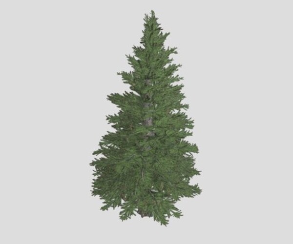 ArtStation - Norway Spruce #09 (FBX) - High Poly Tree (3D Model ...