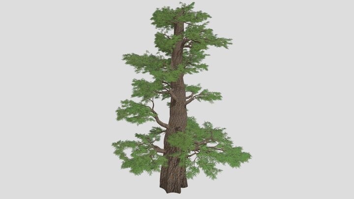 ArtStation - Western Juniper #01 (FBX) - High Poly Tree (3D Model ...