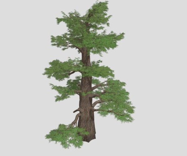 ArtStation - Western Juniper #05 (FBX) - High Poly Tree (3D Model ...
