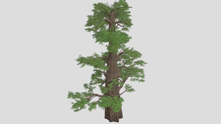 ArtStation - Western Juniper #07 (FBX) - High Poly Tree (3D Model ...