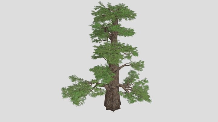 ArtStation - Western Juniper #09 (FBX) - High Poly Tree (3D Model ...