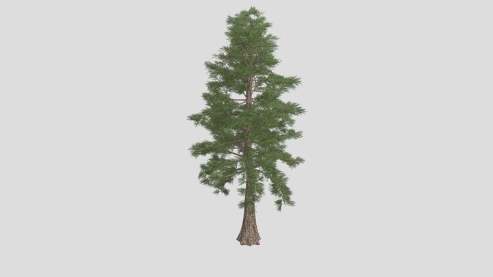 ArtStation - Western Red Cedar #02 (FBX) - High Poly Tree (3D Model ...