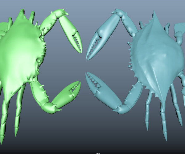 ArtStation - crab 蟹 Model | Resources