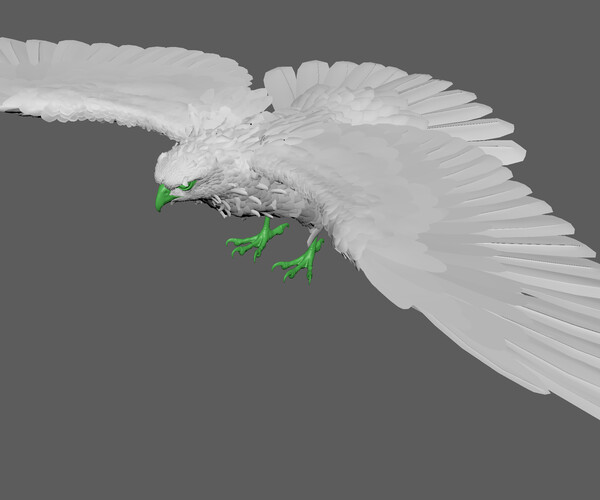 ArtStation - 鹰隼Eagle Falcon Model | Resources