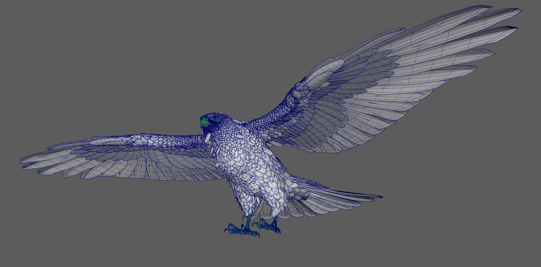 ArtStation - 鹰隼Eagle Falcon Model | Resources