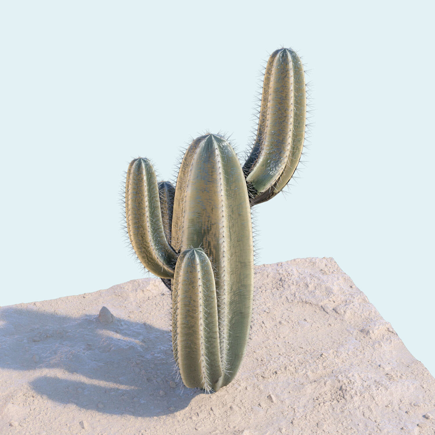 ArtStation - Free Cactus model | Resources