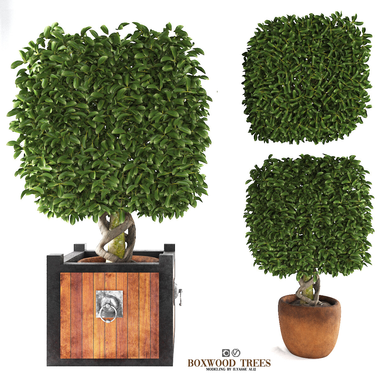 ArtStation - pot trees collection 01 | Game Assets