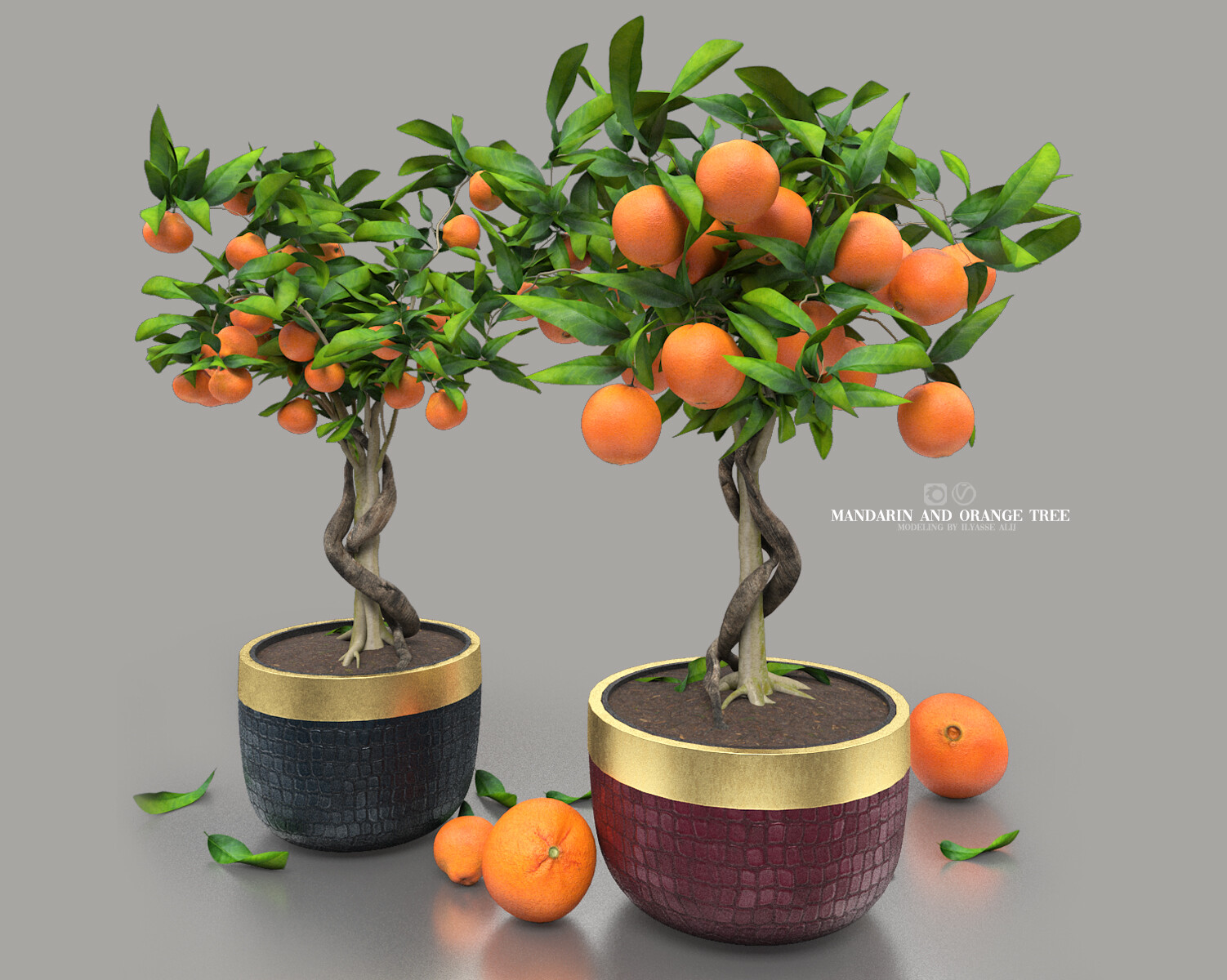 ArtStation - pot trees collection 01 | Game Assets