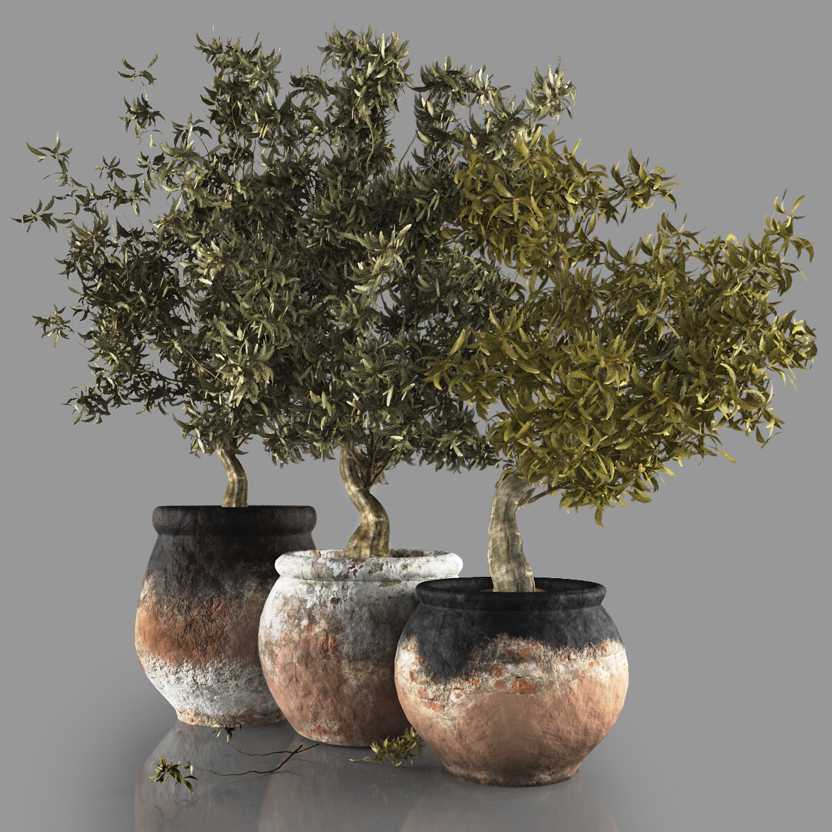 ArtStation - pot trees collection 01 | Game Assets