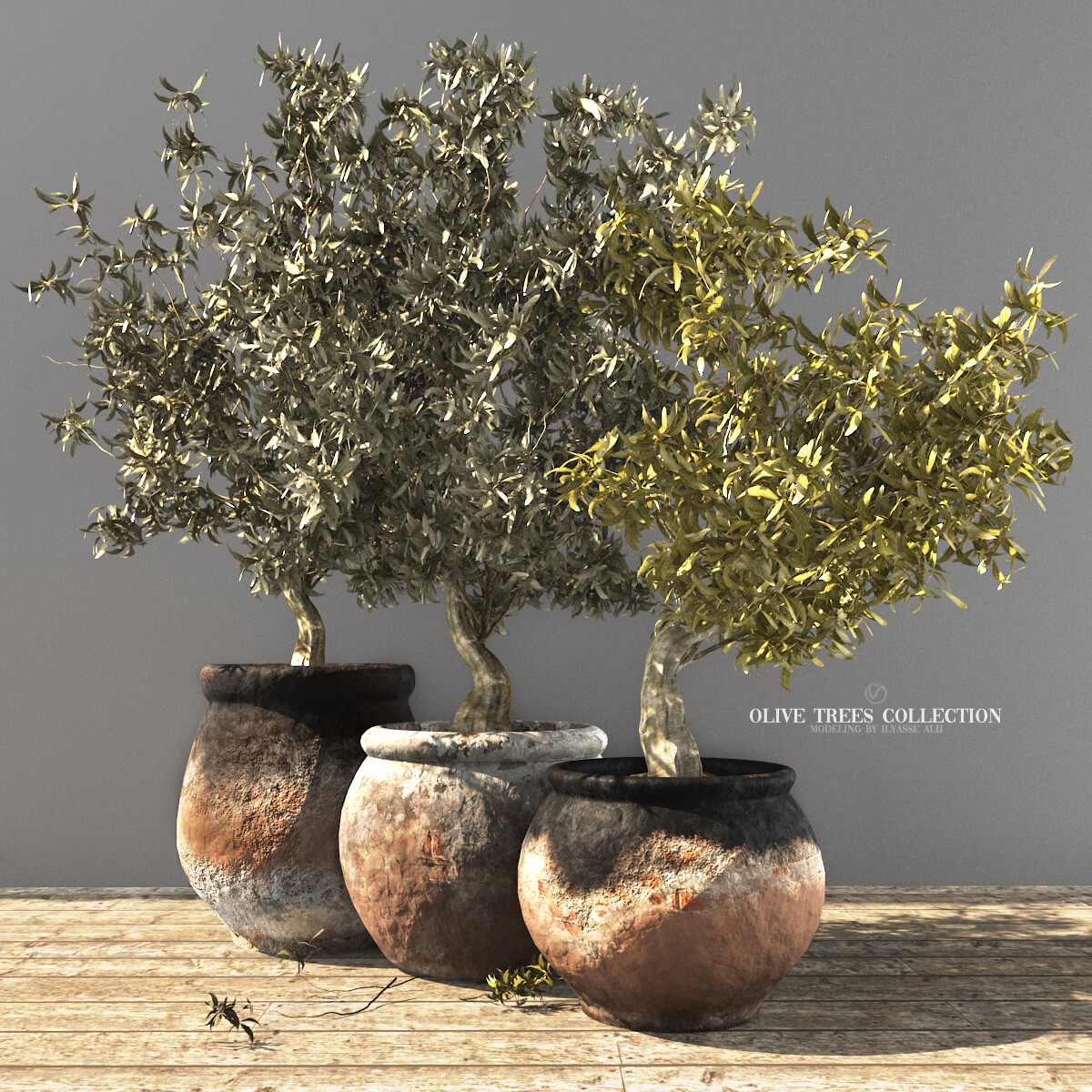 ArtStation - pot trees collection 01 | Game Assets