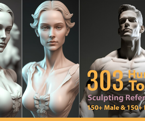 ArtStation - 303 human torso Sculpting references | Artworks