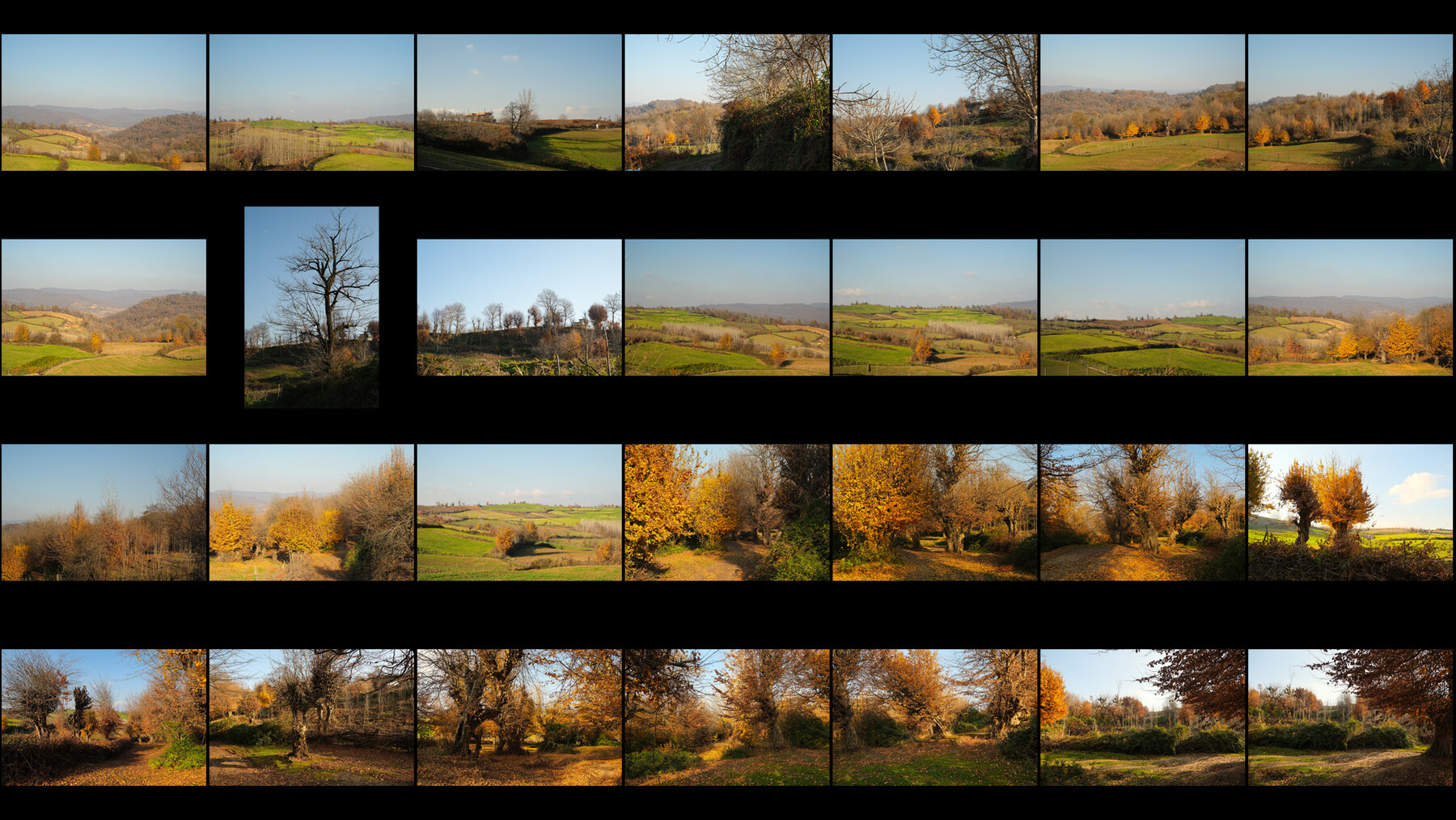 ArtStation - Nature Photo Pack (North of Iran) | Resources