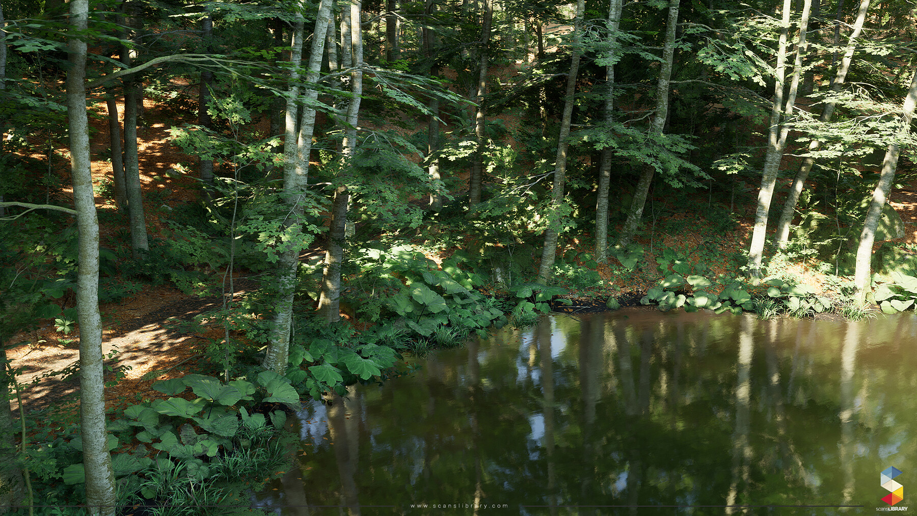 ArtStation - Beech Forest Ecosystem / UE5 | Game Assets