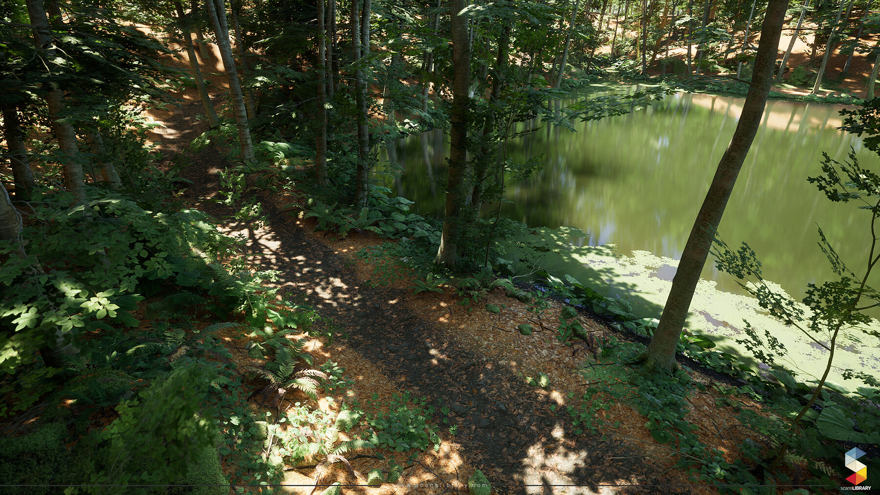 ArtStation - Beech Forest Ecosystem / UE5 | Game Assets