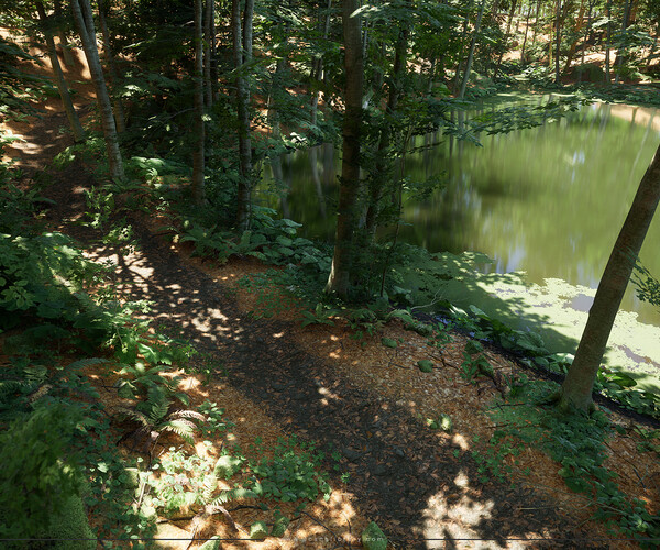 ArtStation - Beech Forest Ecosystem / UE5 | Game Assets