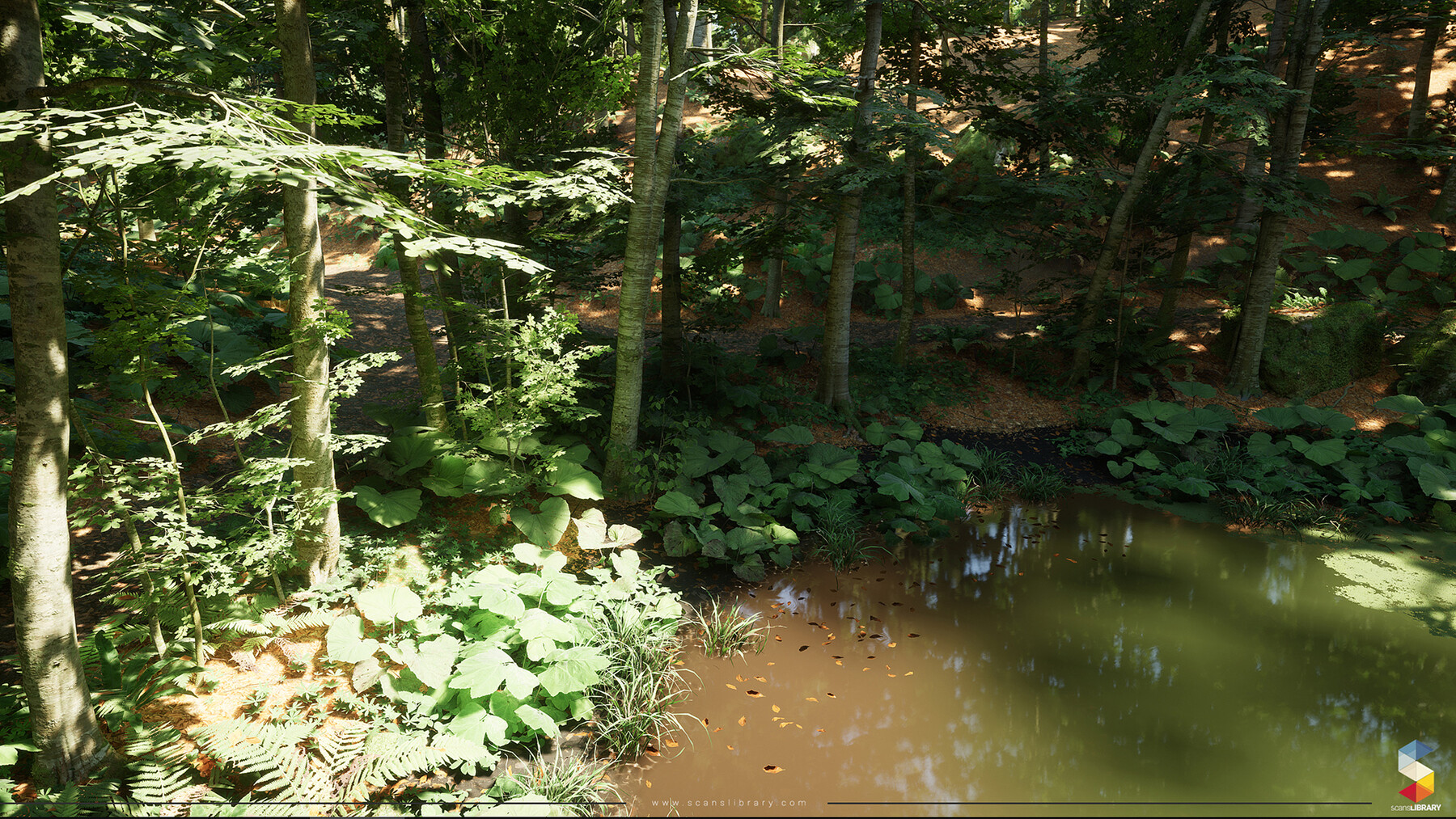 ArtStation - Beech Forest Ecosystem / UE5 | Game Assets