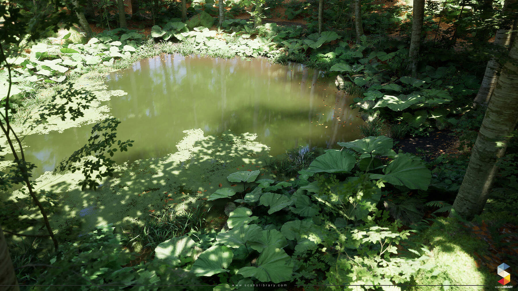 ArtStation - Beech Forest Ecosystem / UE5 | Game Assets