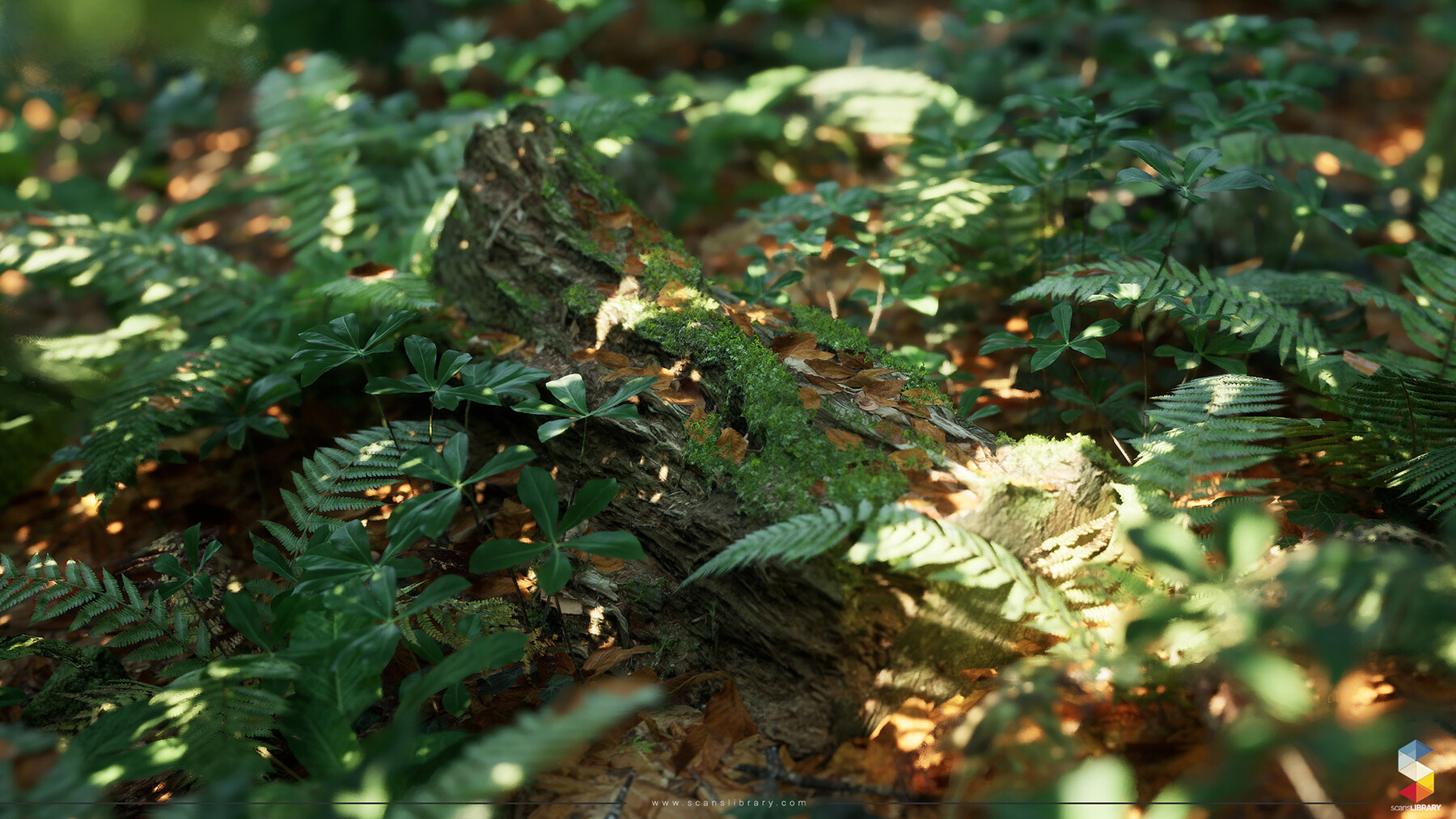 ArtStation - Beech Forest Ecosystem / UE5 | Game Assets