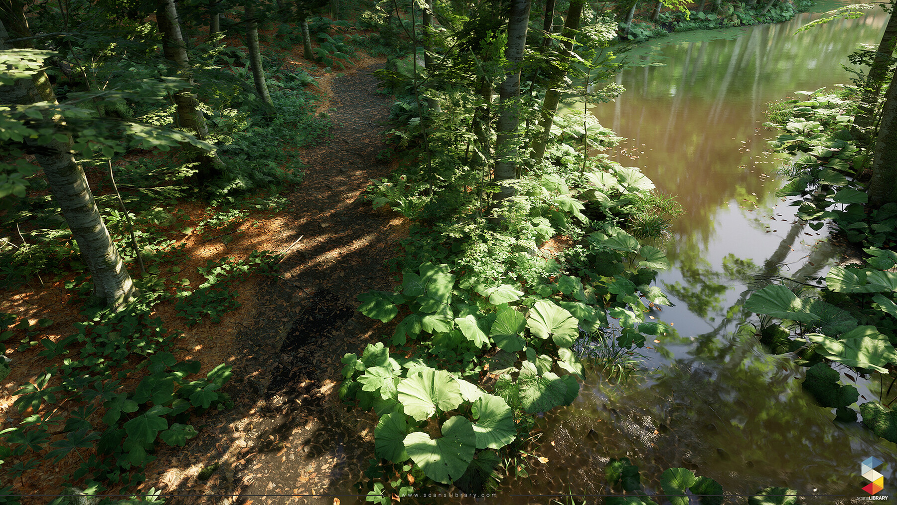 ArtStation - Beech Forest Ecosystem / UE5 | Game Assets