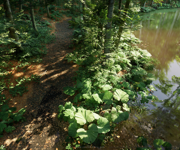 ArtStation - Beech Forest Ecosystem / UE5 | Game Assets