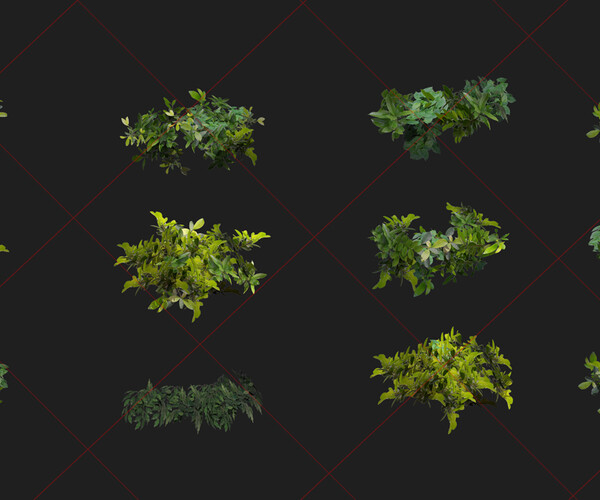 ArtStation - 28 Tropical Tree, Plant Leaves Game Assets | Game Assets