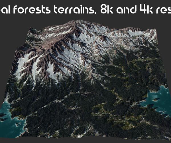 ArtStation - Boreal Forests Terrains Collection Vol.1 | 12 Terrains at ...