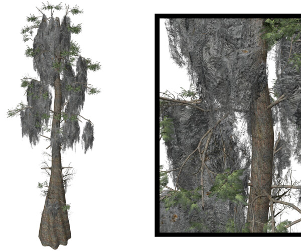 ArtStation - Bald Cypress #02 (FBX) - High Poly Tree (3D Model) | Game Assets