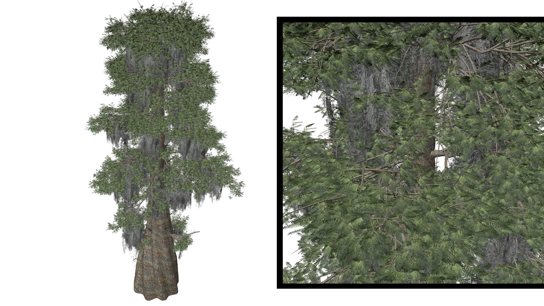 ArtStation - Bald Cypress #06 (FBX) - High Poly Tree (3D Model) | Game ...