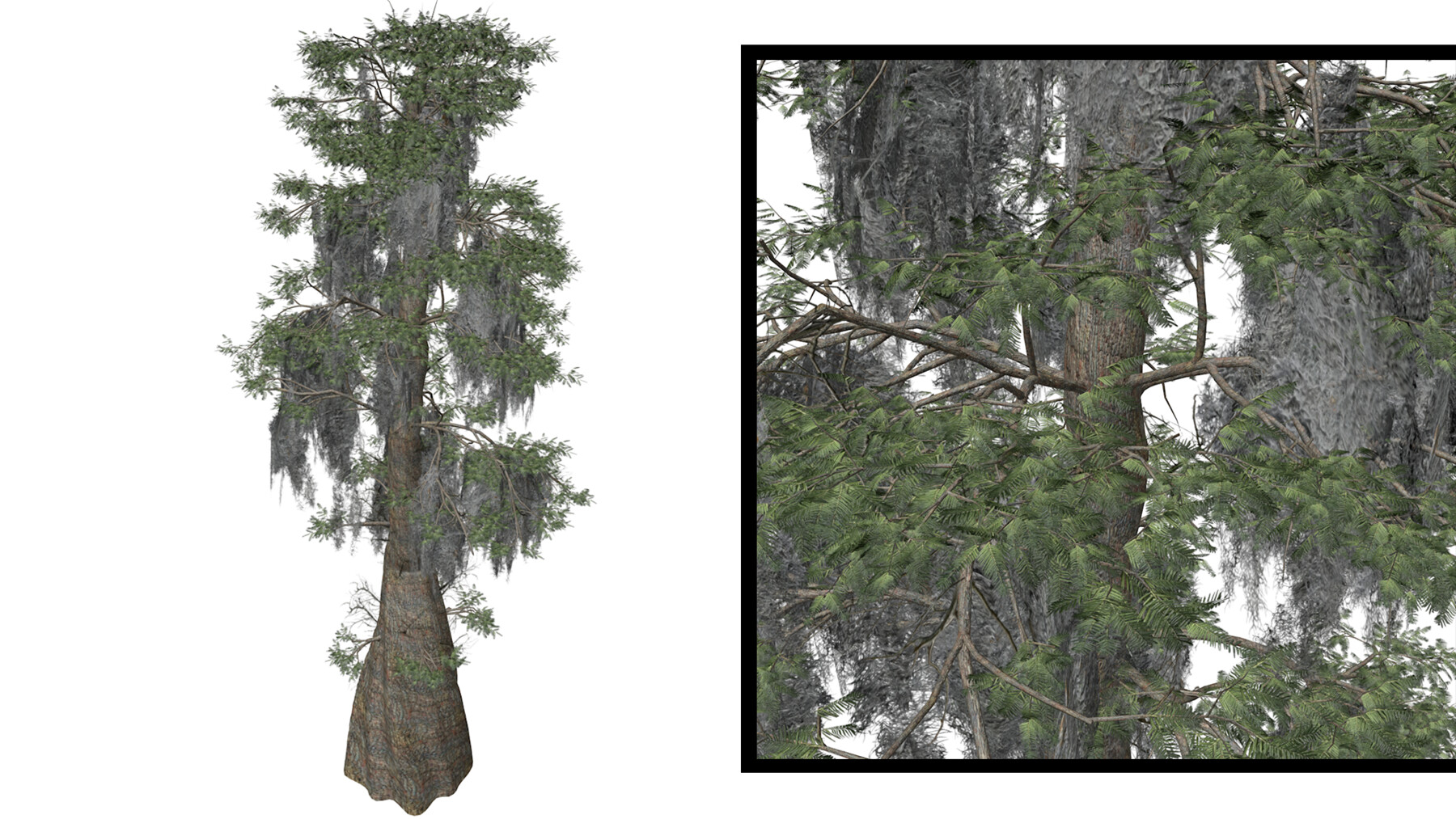 ArtStation - Bald Cypress #07 (FBX) - High Poly Tree (3D Model) | Game ...
