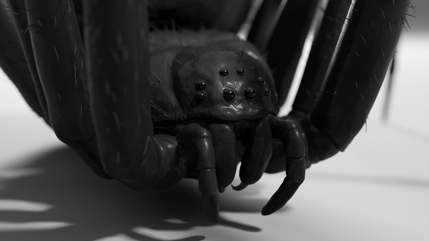 ArtStation - Black widow spider basemesh | Game Assets