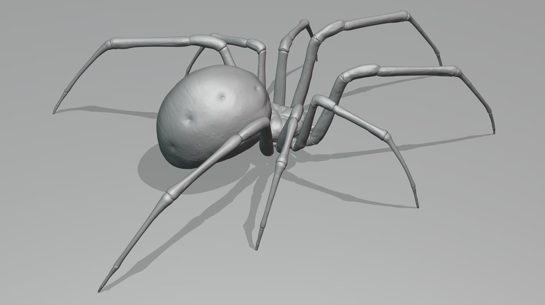 ArtStation - Black widow spider basemesh | Game Assets