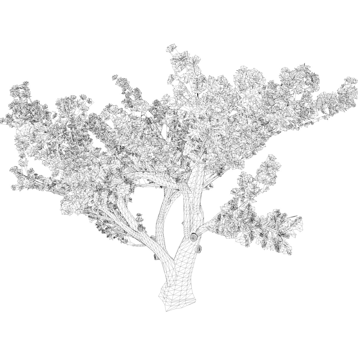 ArtStation - Cedar of Lebanon #01 (FBX) - High Poly Tree (3D Model ...