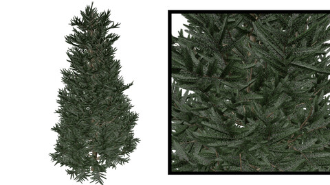 ArtStation - Scots Pine #05 (FBX) - High Poly Tree (3D Model) | Resources