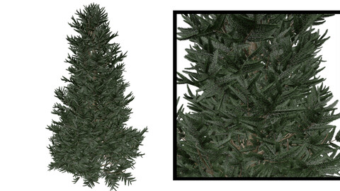 ArtStation - Scots Pine #05 (FBX) - High Poly Tree (3D Model) | Resources